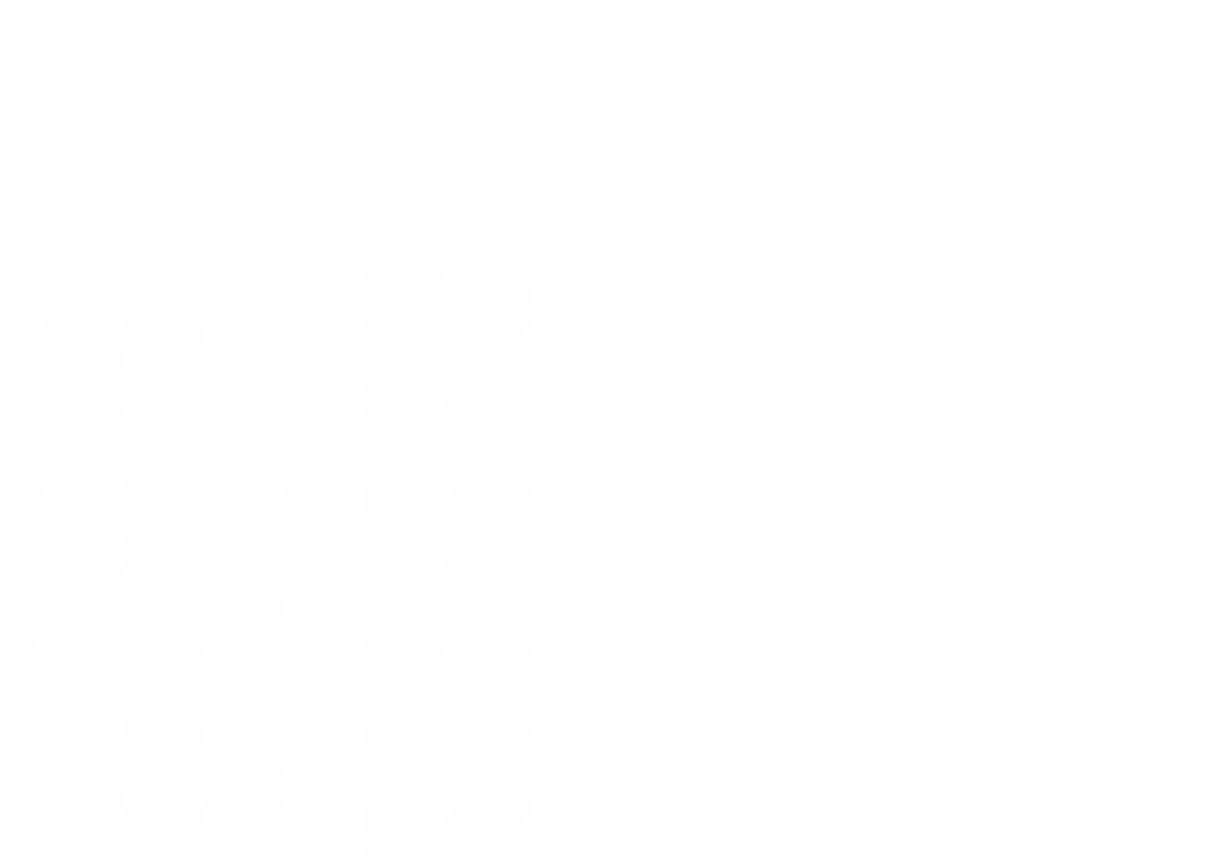 Pagina en blanco (1/2)