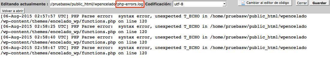 Ver Logs en WordPress, detectando errores - Webempresa