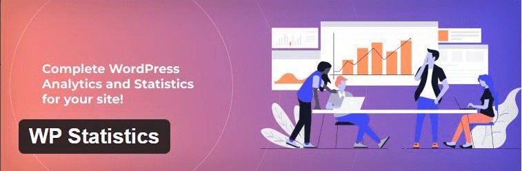 Cómo poner un contador de visitas en WordPress - Webempresa