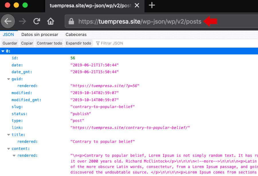 REST API de WordPress: qué es y cómo usarla - Webempresa