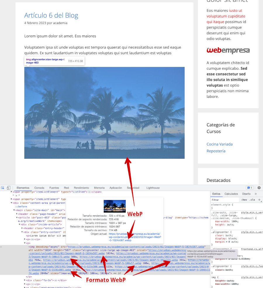 Cómo usar imágenes Webp en WordPress - Webempresa